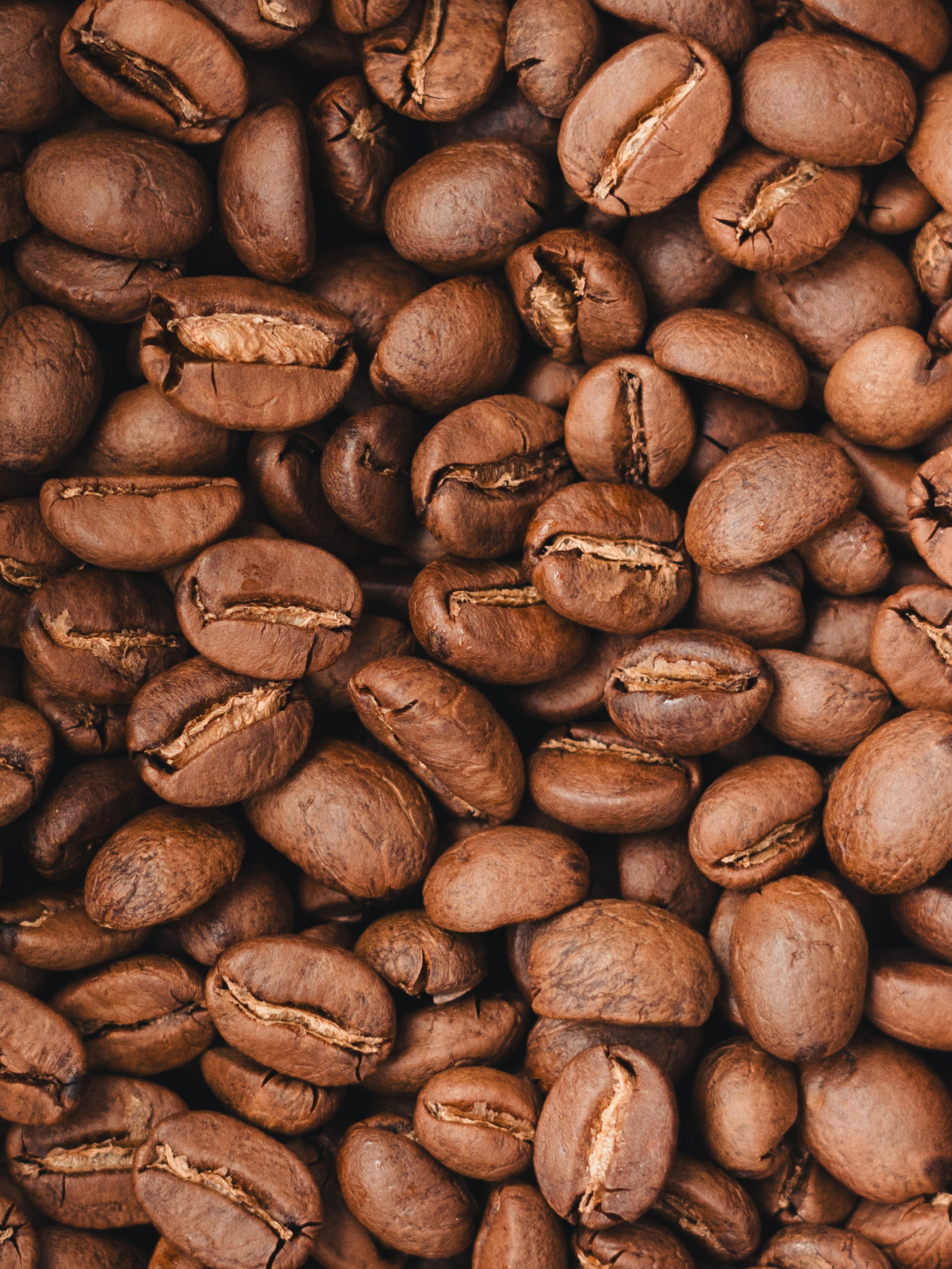 Light Roast – Indigenous Coffee